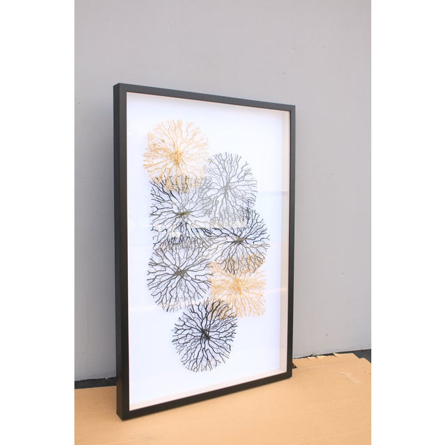 Shadow Box Wall Decor Art Black White Indoor Outdoor | Chairish