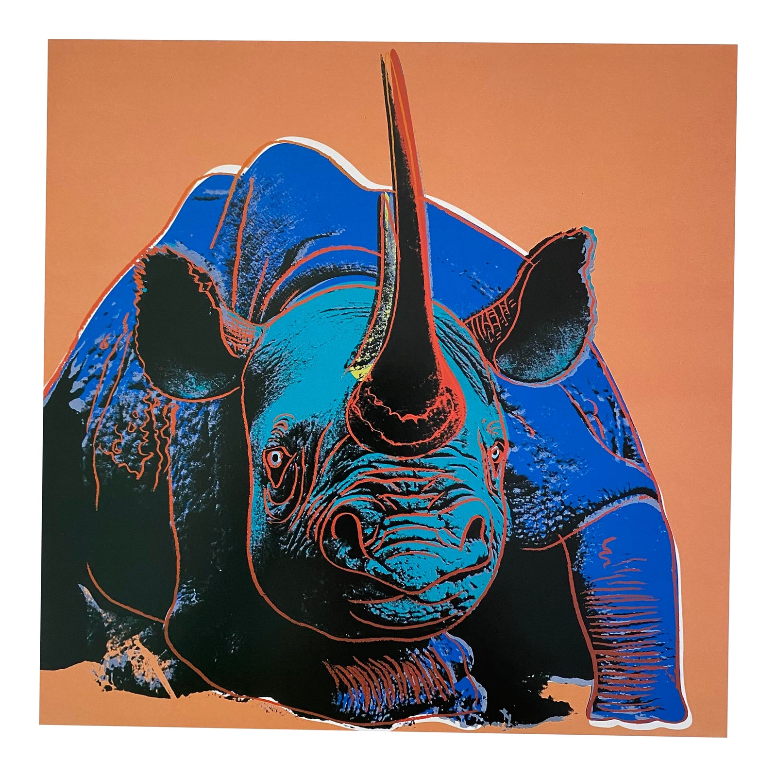 1980s Andy Warhol Estate "Black Rhinoceros - 1983" Endangered Species ...