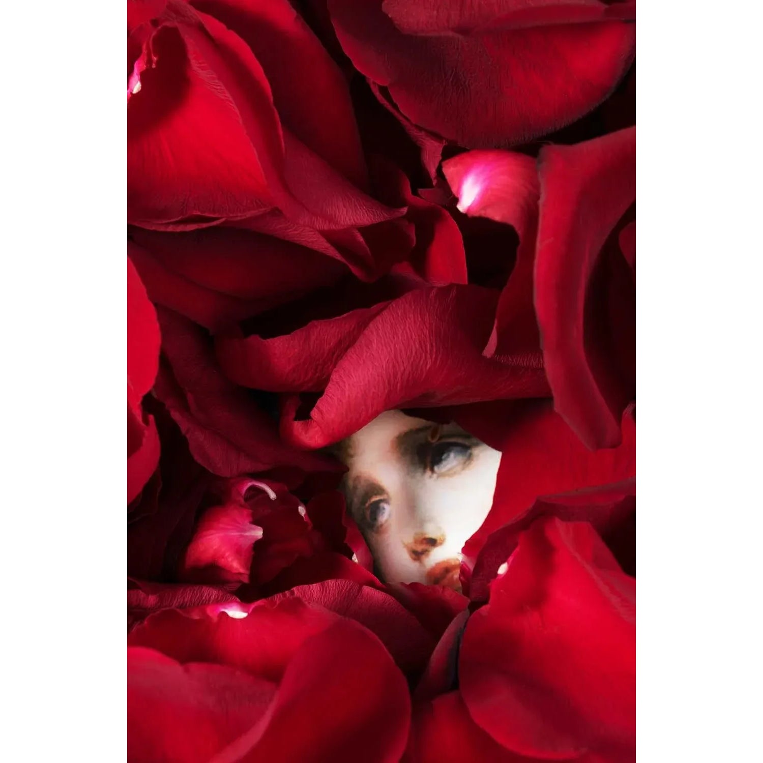 "Martian Red" Contemporary Neo-Dada Style Limited Edition Photograph by ...