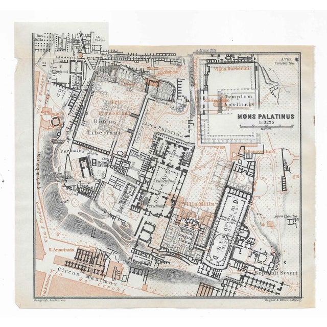 1910s Italian Antique Map of Palatine Hill in Rome | Chairish