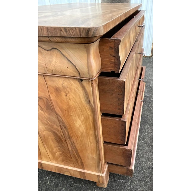 Commode France Louis Philippe Ronce De Noyer Mid 19th Century | Chairish