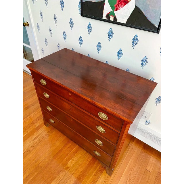 Antique Early 1800s Neoclassical American Cherry Chest of Drawers With ...