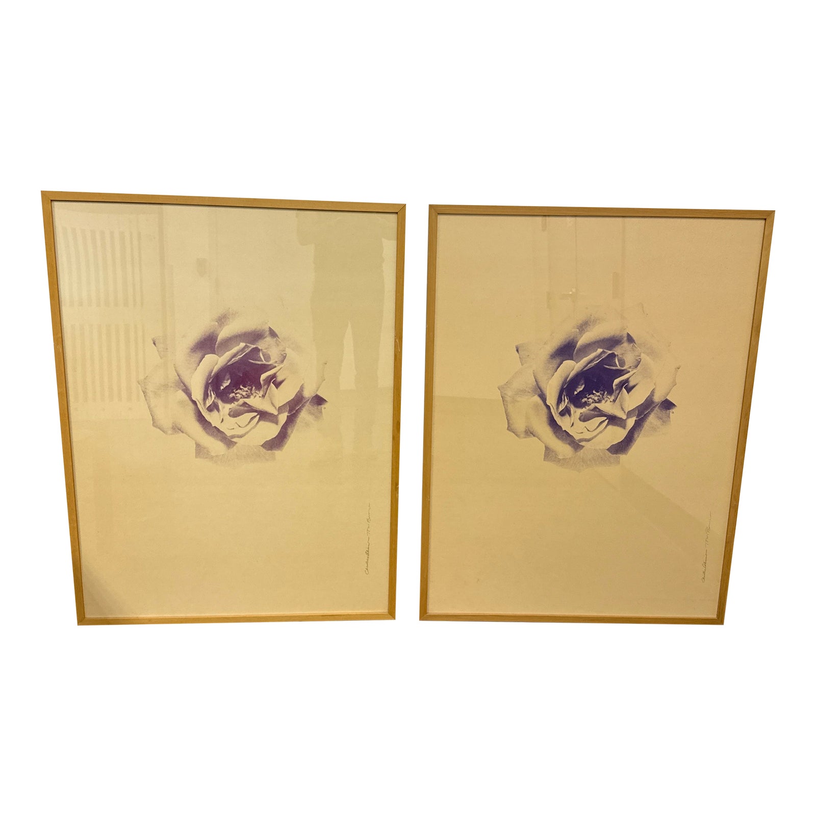 Artist Signed Close Up of a Rose Prints, Set of Two | Chairish