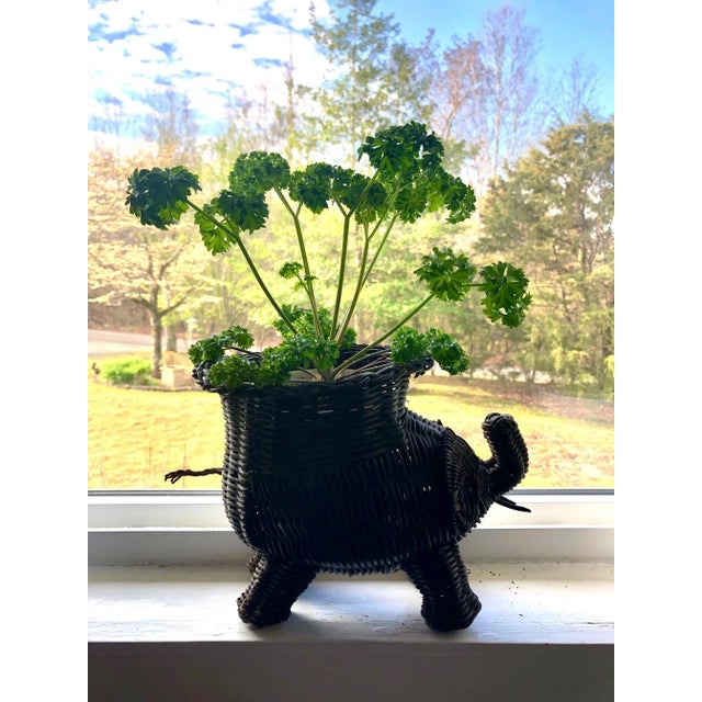 1970s Vintage Rattan Wicker Elephant Planter | Chairish