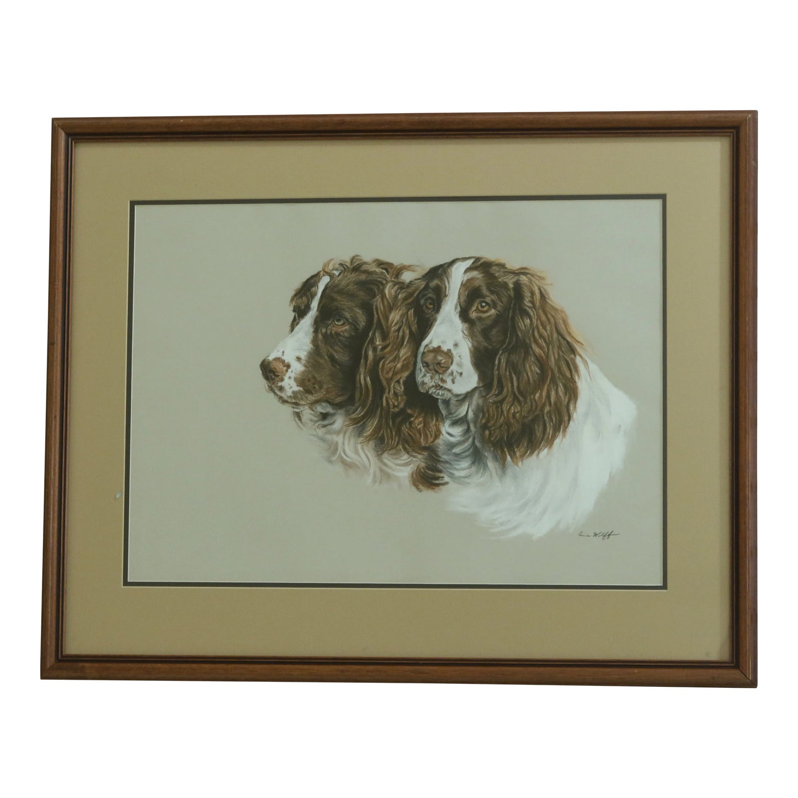 Ann Wolff Artist Signed Springer Spaniel Drawing | Chairish