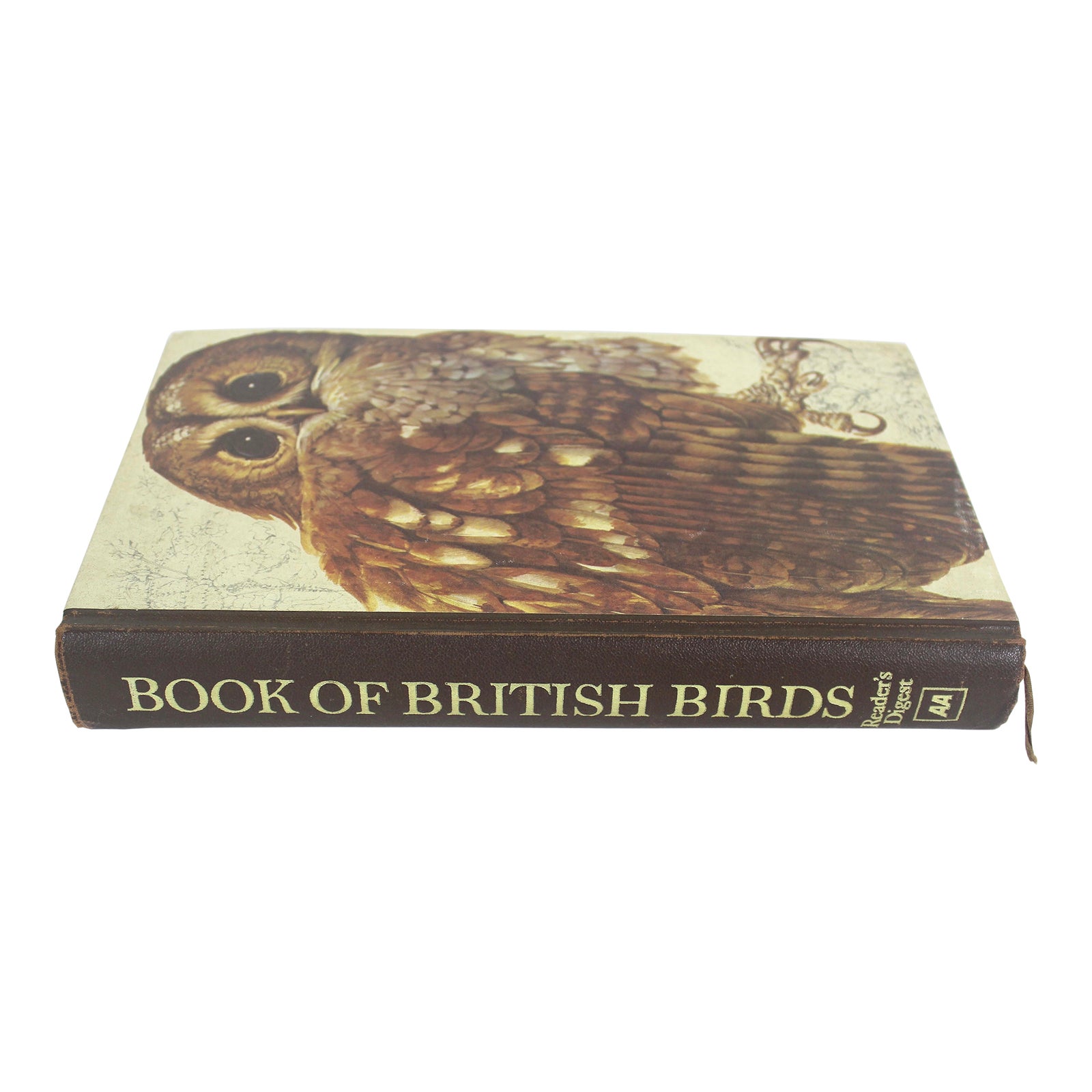 1972 Coffee Table Book for Decorating Book of British Birds | Chairish
