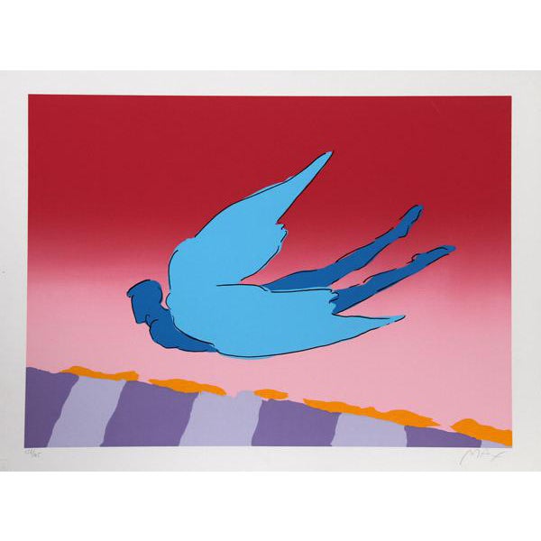 1980s Peter Max, Pink Sky Flyer, Screenprint | Chairish