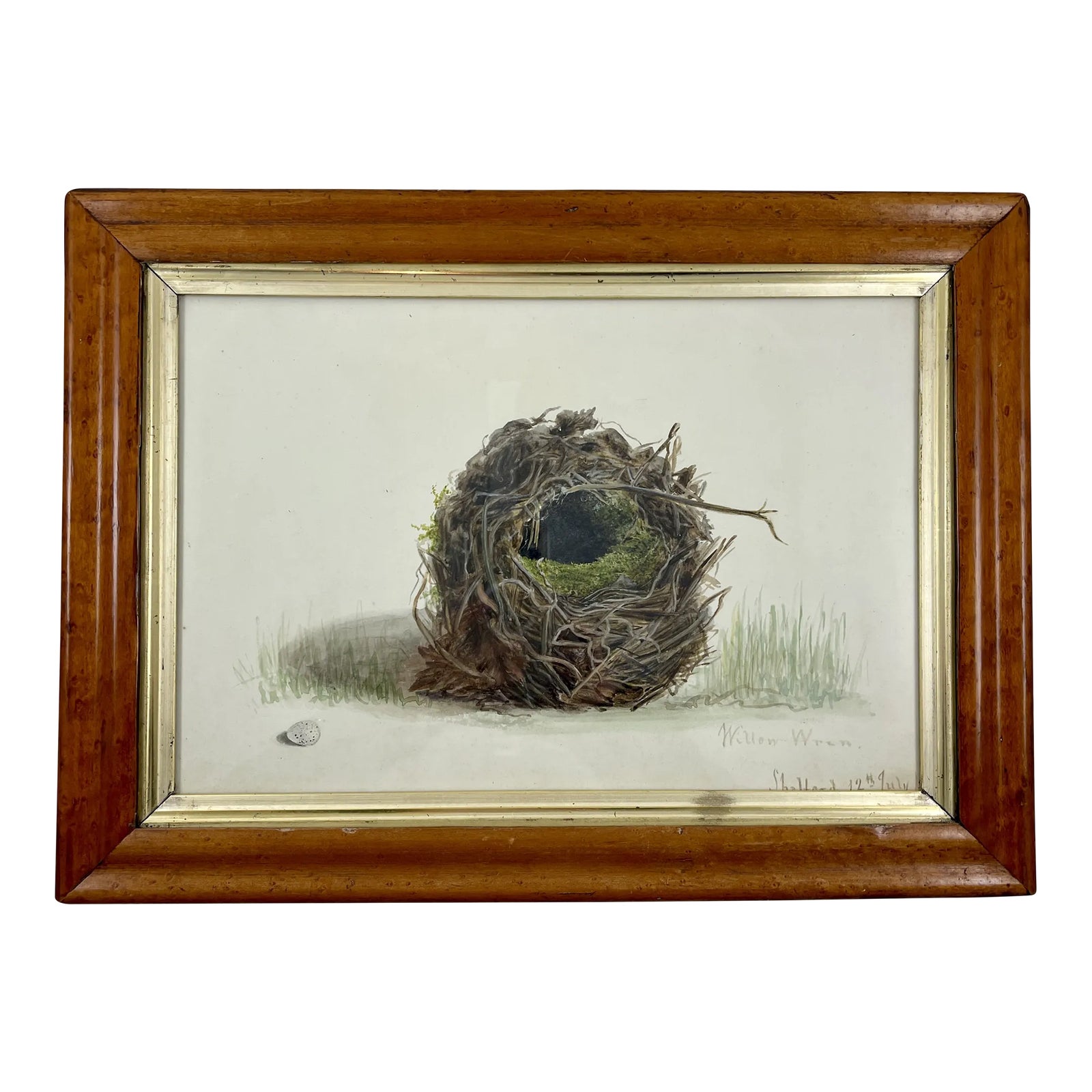 English Regency Period Original Watercolor Fruitwood Frame, a Willow ...