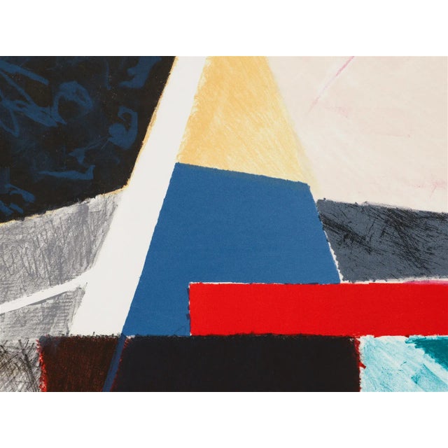 Susan Crile Expansion 1981 Modern Abstract Signed Lithograph | Chairish