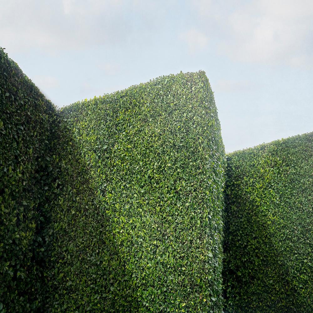 "Serrated" Contemporary Landscape Photograph by Carol Erb | Chairish