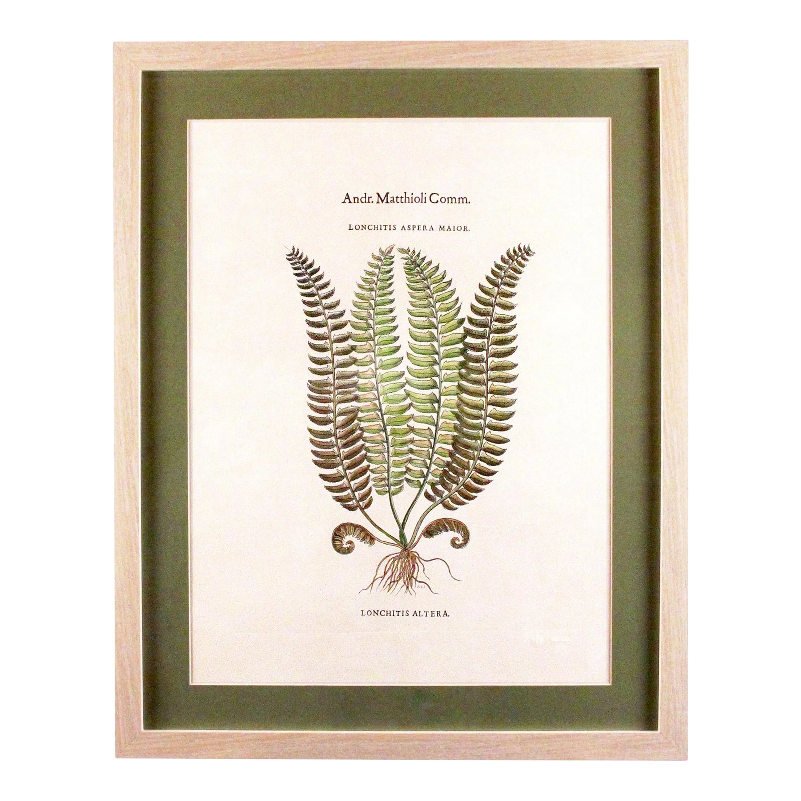 Original Vintage Botanical Fern Print with Maker's Stamp | Chairish