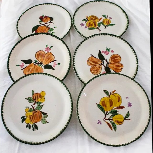 Southern Potteries Blue Ridge China Dinner Plates - Set of 6 | Chairish