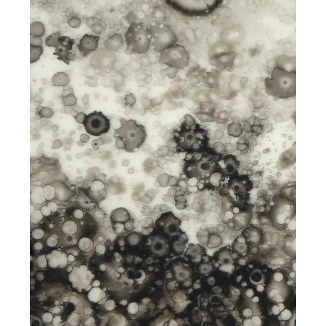 Black and White Abstract Contemporary Organic Painting by Bruce Riley ...