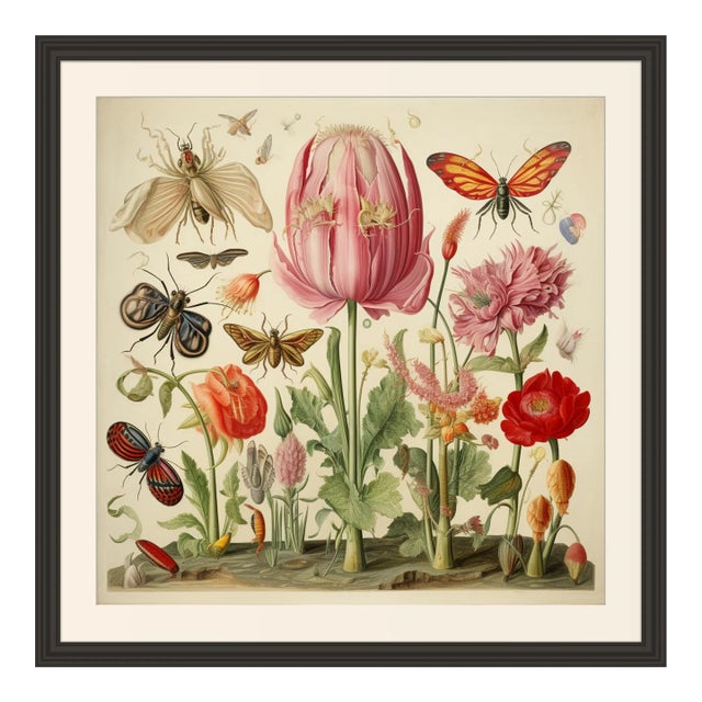 18' X 18' Framed 'Insects and Flowers' Botanical Print #15 | Chairish