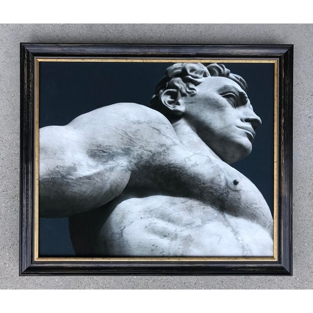 James White Statuary at the Stadio Dei Marmi, Rome Photograph | Chairish