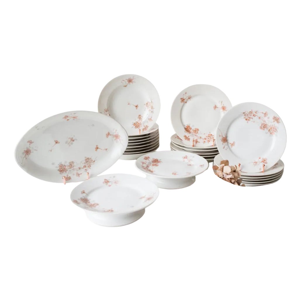 19th Century French Dinner Service by Adolphe Hache, Set of 24 | Chairish