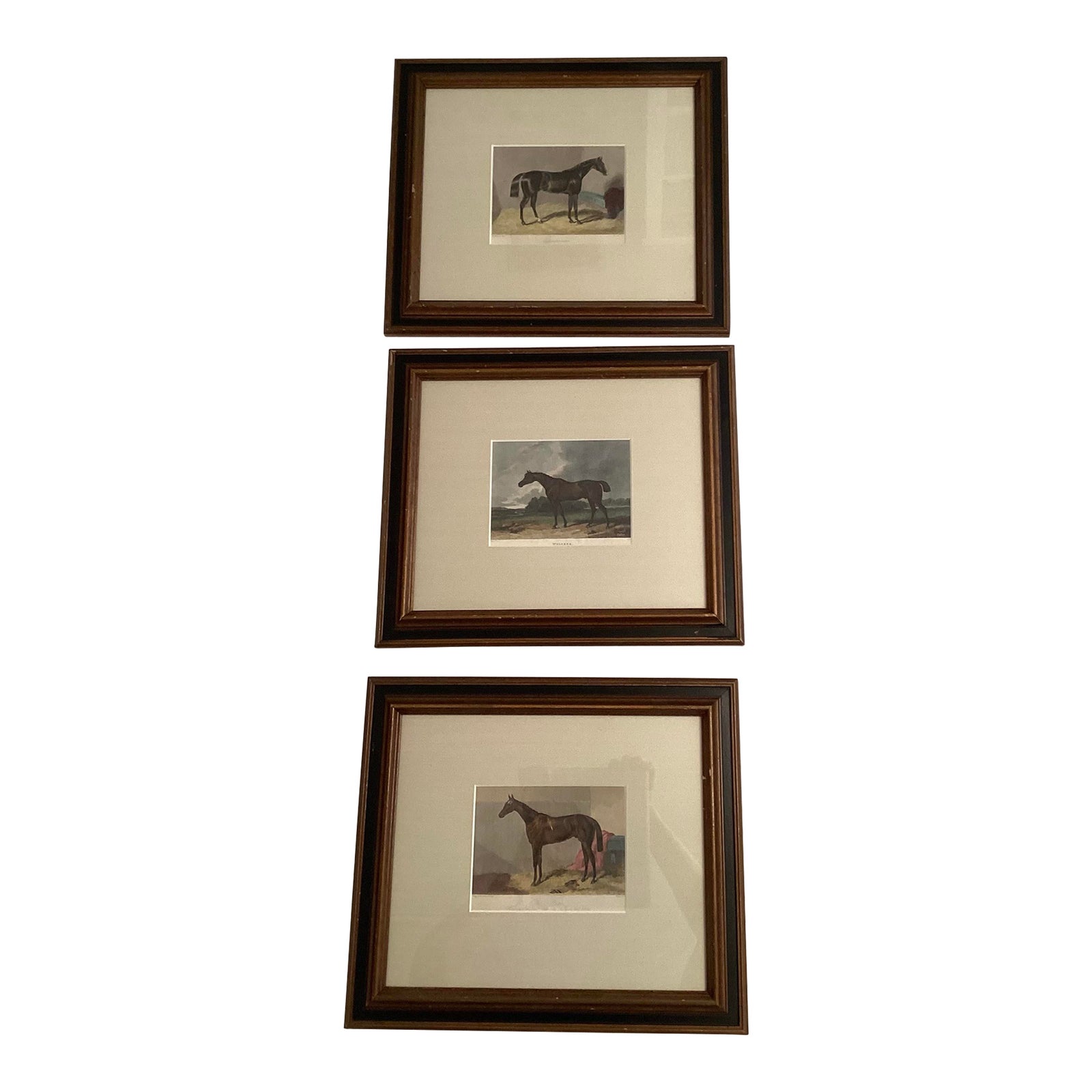 Set of Three Equestrian Hand Colored Engravings, Circa 1818, Framed ...