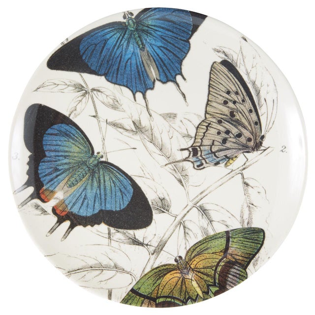 Specimen Side Plates, Set of 4 | Chairish