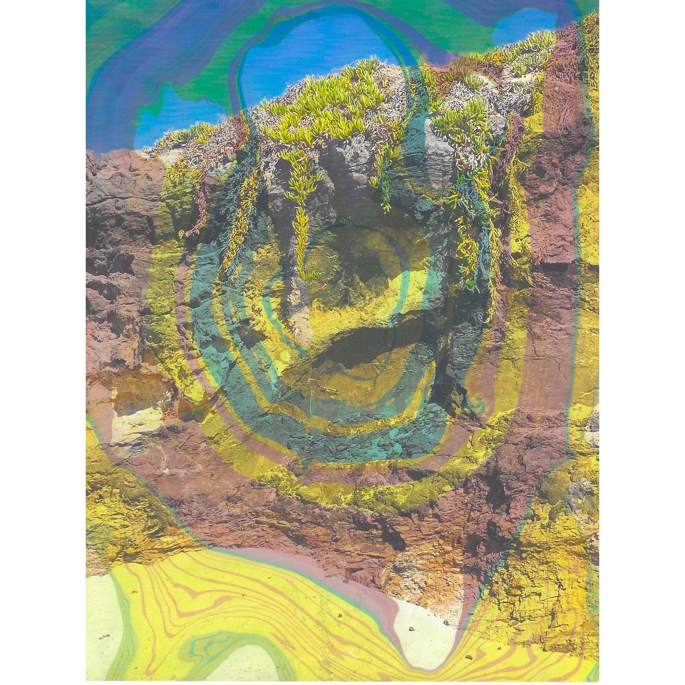 Wild Grow Suminagashi Marbling Ink and Photography on Paper | Chairish