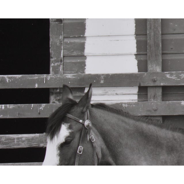 1982 Black and White Photograph of a Cowboy by Jay Dusard | Chairish