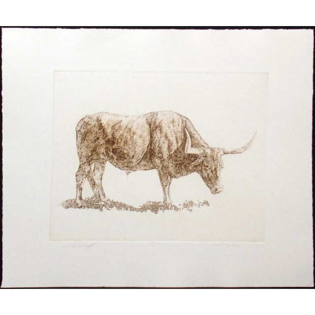 1970s "Grazing" Sepia Toned Etching by Chad Neff | Chairish