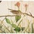 1966 Savannah Finch and Savannah Sparrow After Audubon, Cottage Print ...
