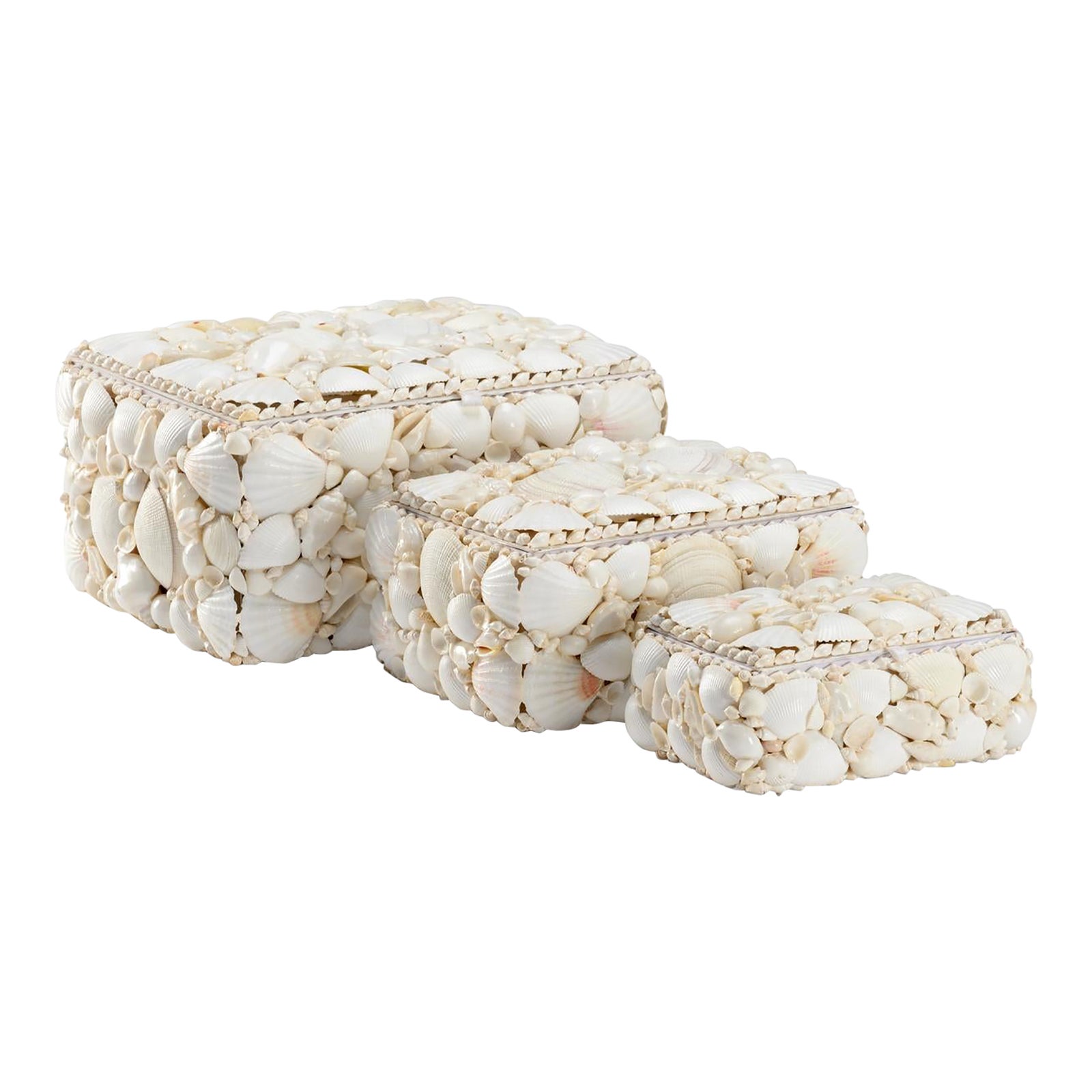 White Shell Boxes - Set of 3 | Chairish