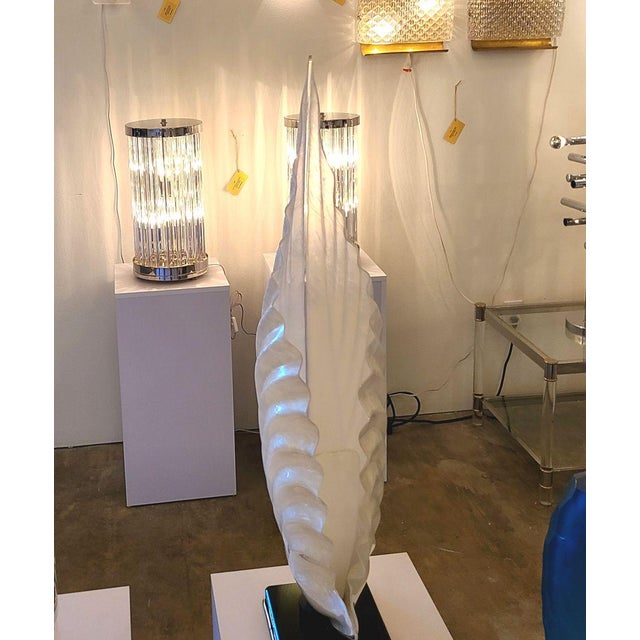 Large Shell Table Lamp by Rougier 1960 | Chairish