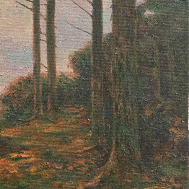 'Woodland Sunset' by Carl Warren | Chairish