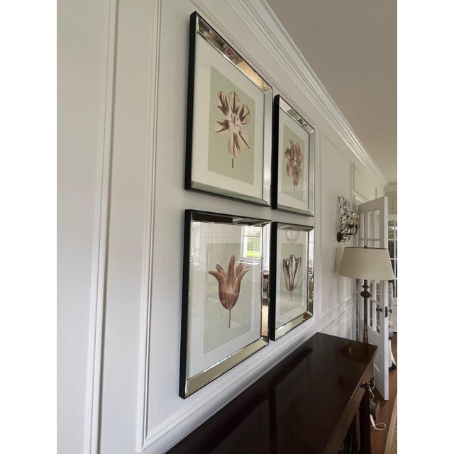 Original Botanical Prints by Peter Arnold in Trowbridge Gallery ...