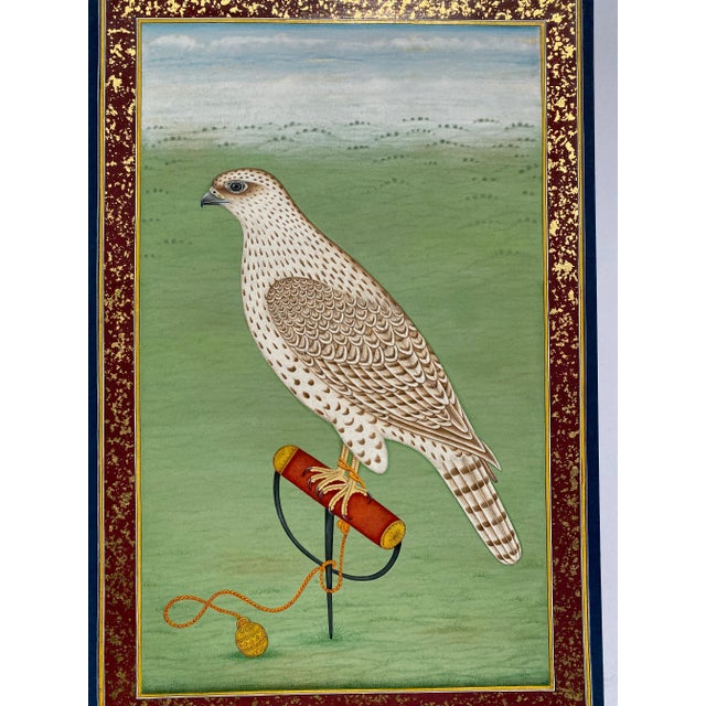 Indian Hawk Painting, Miniature Falcon Artwork | Chairish