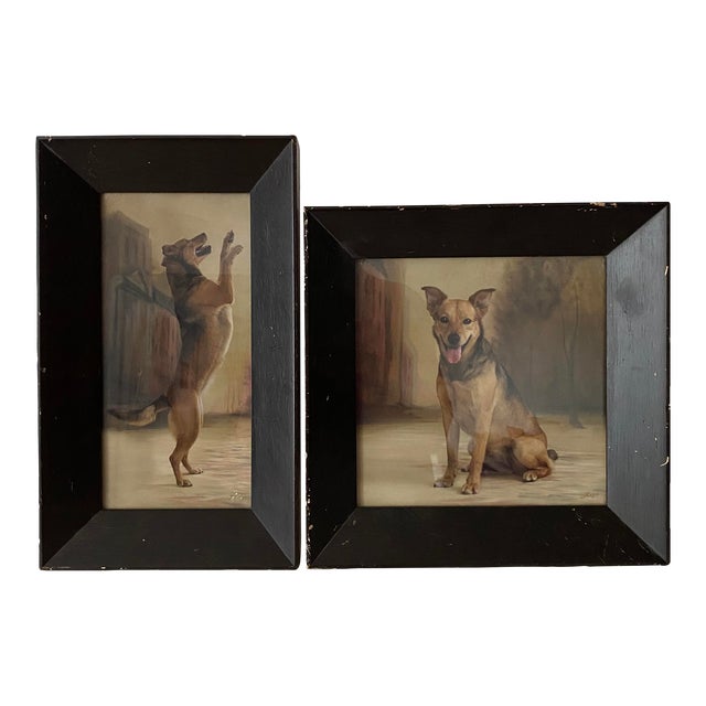 German Shepherd Portrait Photographs in Frames Signed Hayes - a Pair ...