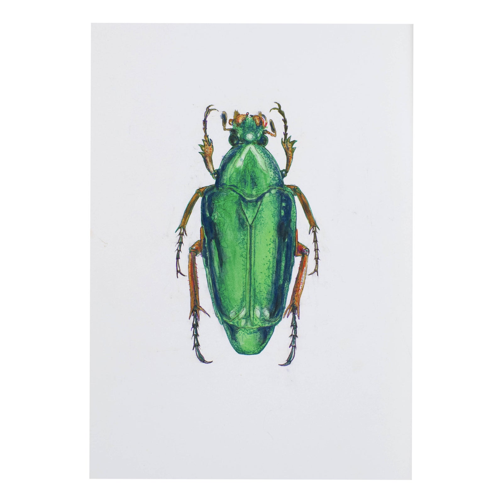 Juris Utans, Royal Green Beetle, 2021, Mixed Media on Paper | Chairish