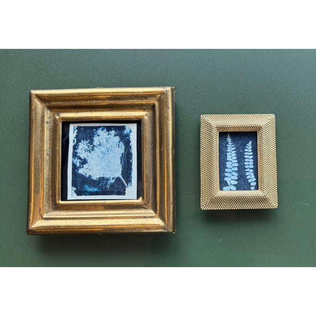 Contemporary Miniature Original Cyanotype, Framed | Chairish