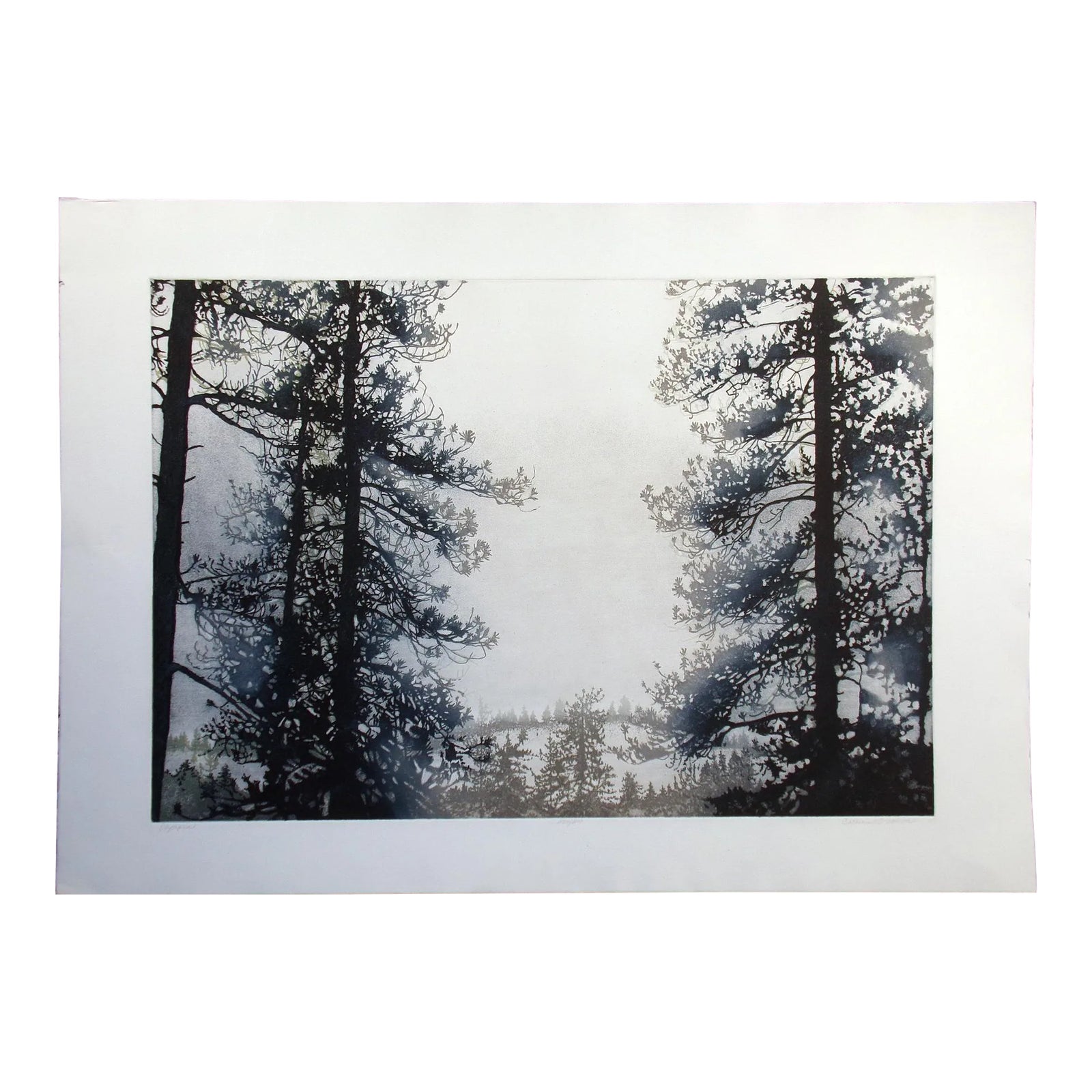 1980s "Olympia" Pine Trees Landscape Etching by Catherine Ruane O ...