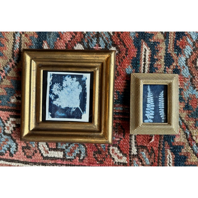 Contemporary Miniature Original Cyanotype, Framed | Chairish
