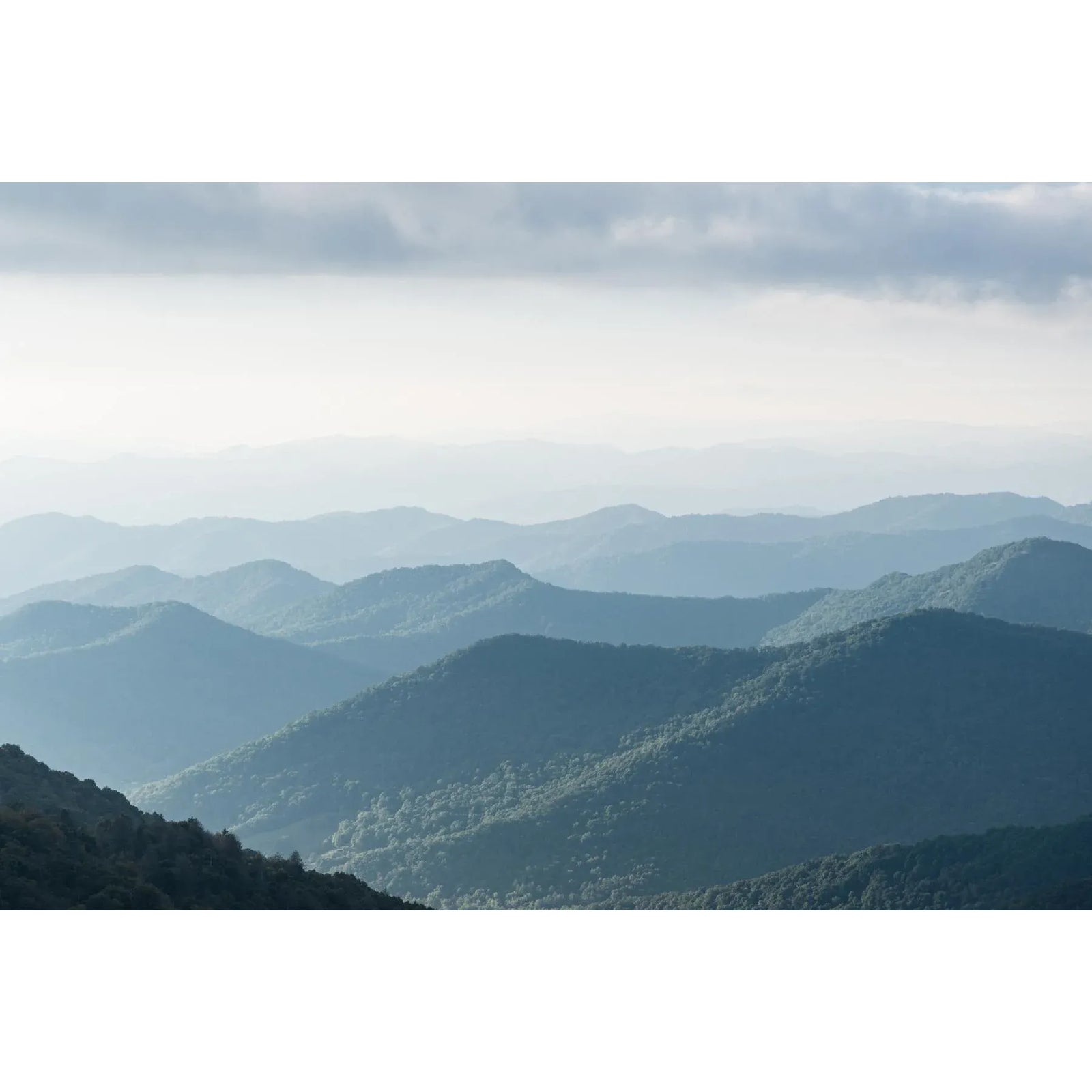 'Blue Ridge Mountains' Contemporary Asheville North Carolina Landscape ...