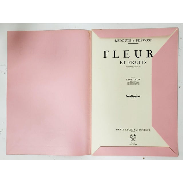 Vintage French Portfolio Etching Plates of Botanical Floral Engravings ...