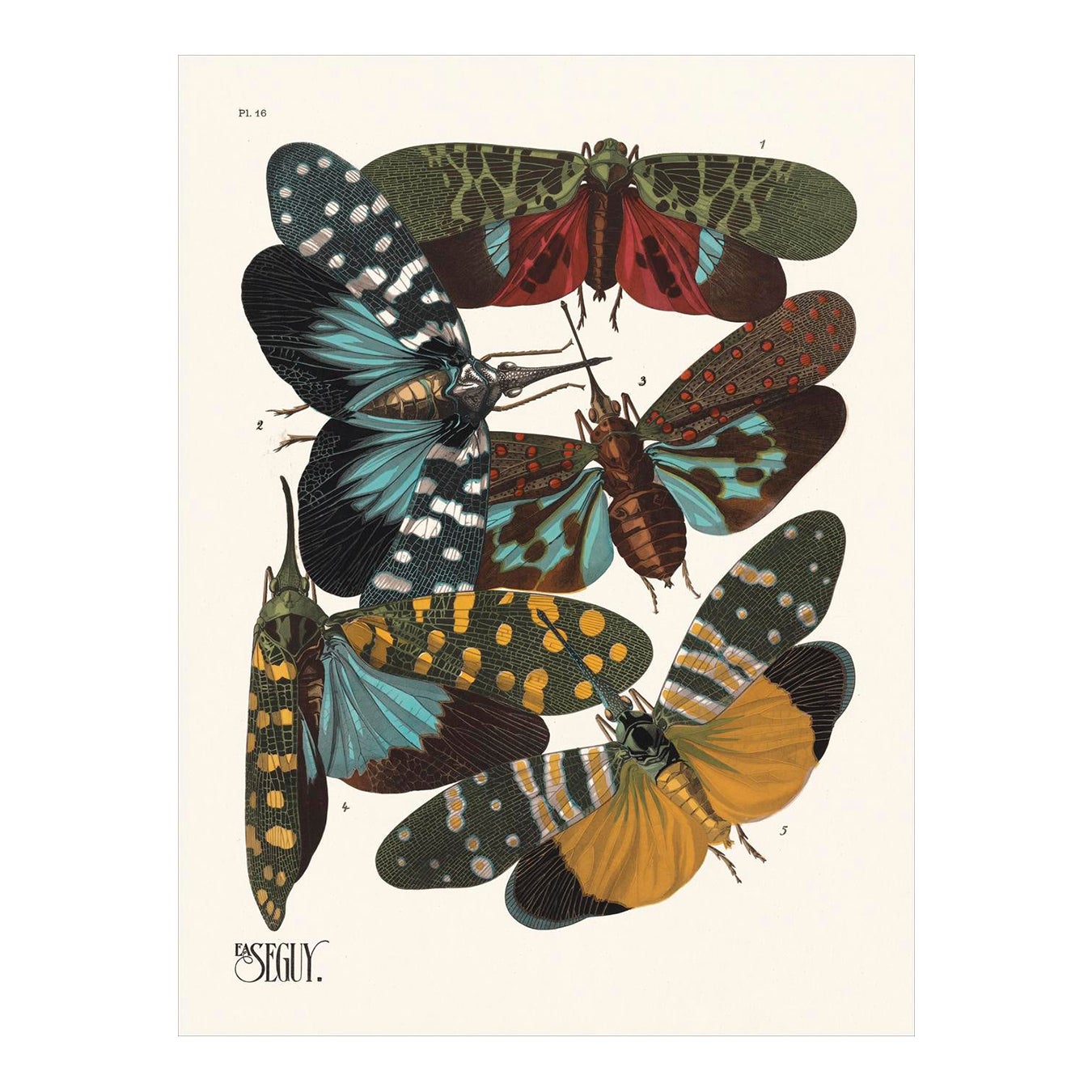 Insects Giclee Reproduction Art Print by Emile-Allain Seguy | Chairish