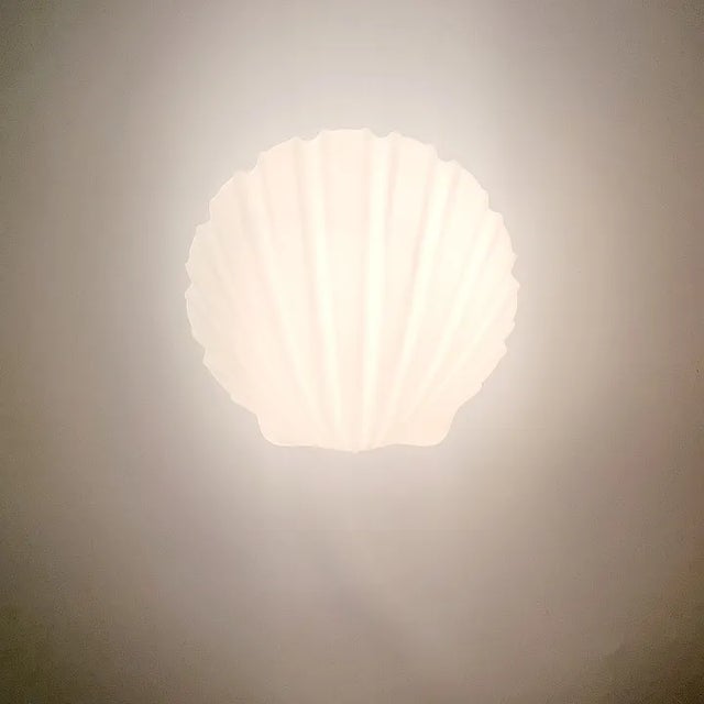 Minimalist Opaline Glass Shell-Shaped Wall Lights/Sconces From Limburg ...