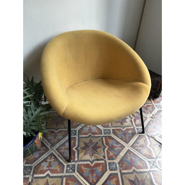 369 Lounge Chair by Walter Knoll for Walter Knoll, 1950s | Chairish