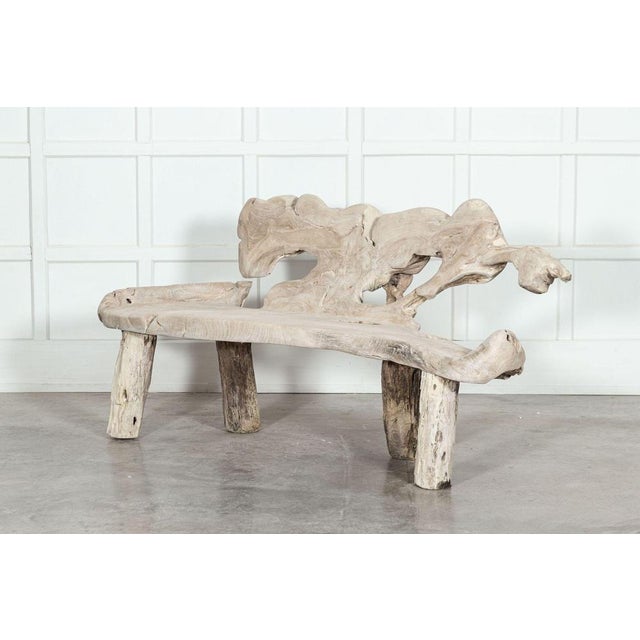 Large English Bleached Teak Root Bench | Chairish