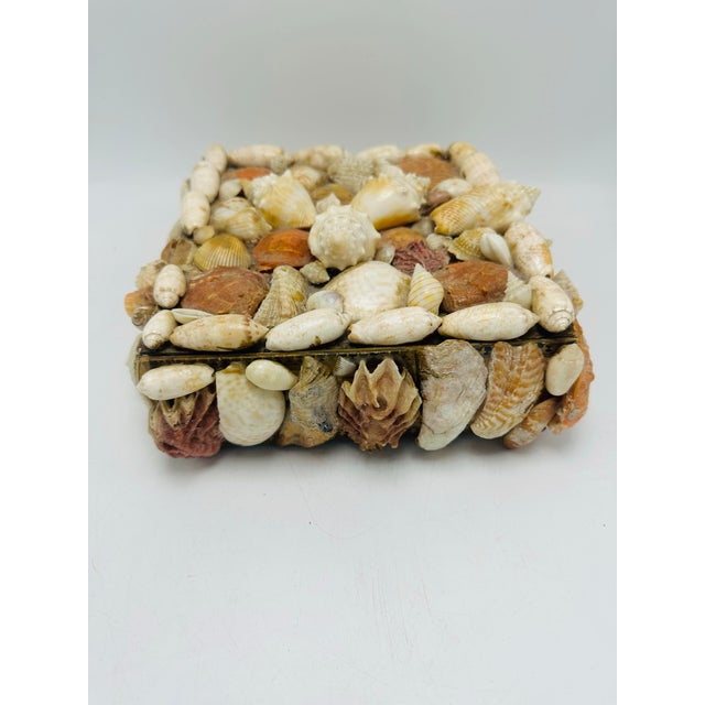 Vintage Coastal Shell Box | Chairish