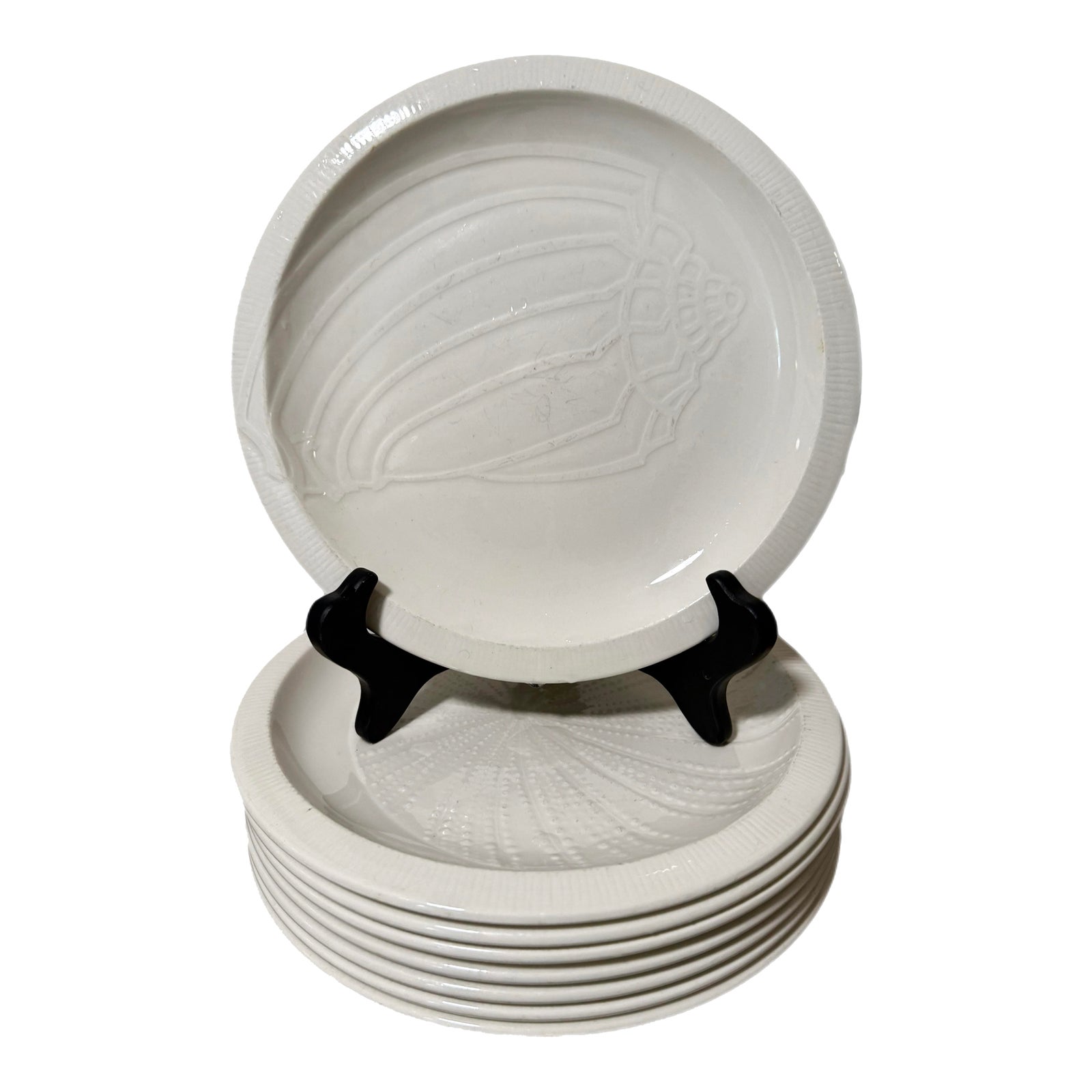 Coastal Seashell Design Plates, Set of 8 | Chairish