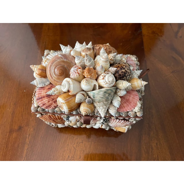 Coastal Decor Sea Shell Encrusted Treasure Box Maitland Smith Style ...