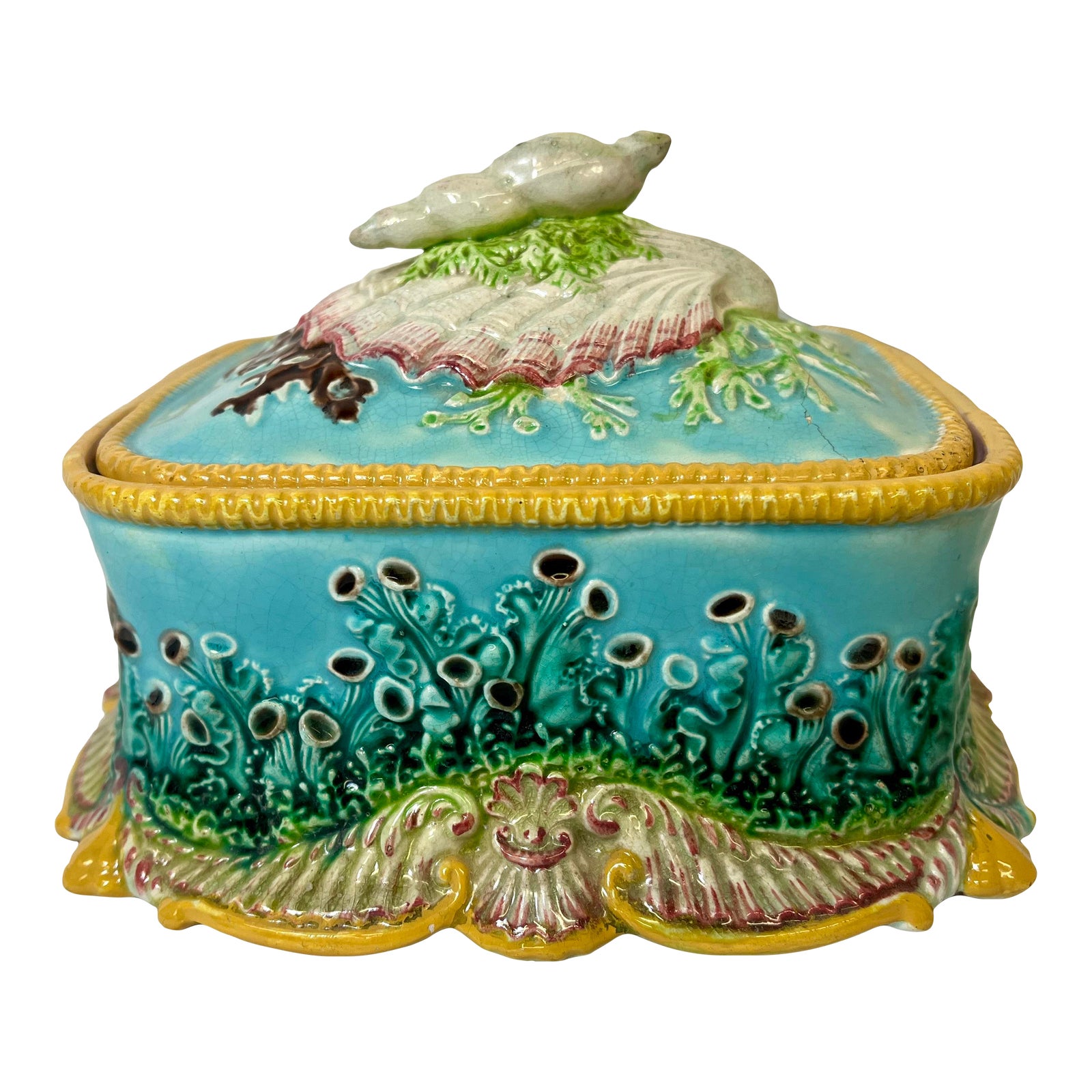 Antique George Jones Covered Majolica Sardine Box Decorated With Shells ...