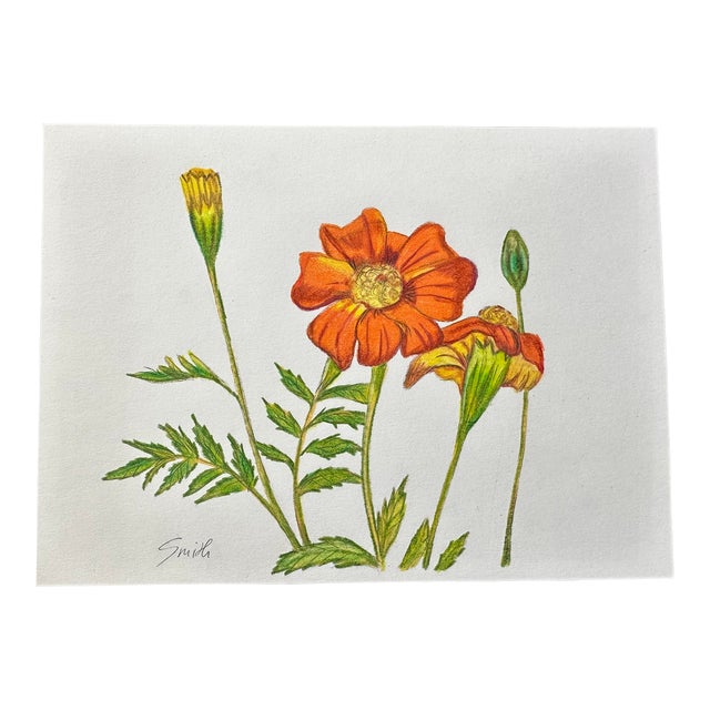 Nancy Smith Original Colored Pencil Drawing “Orange Flowers” | Chairish