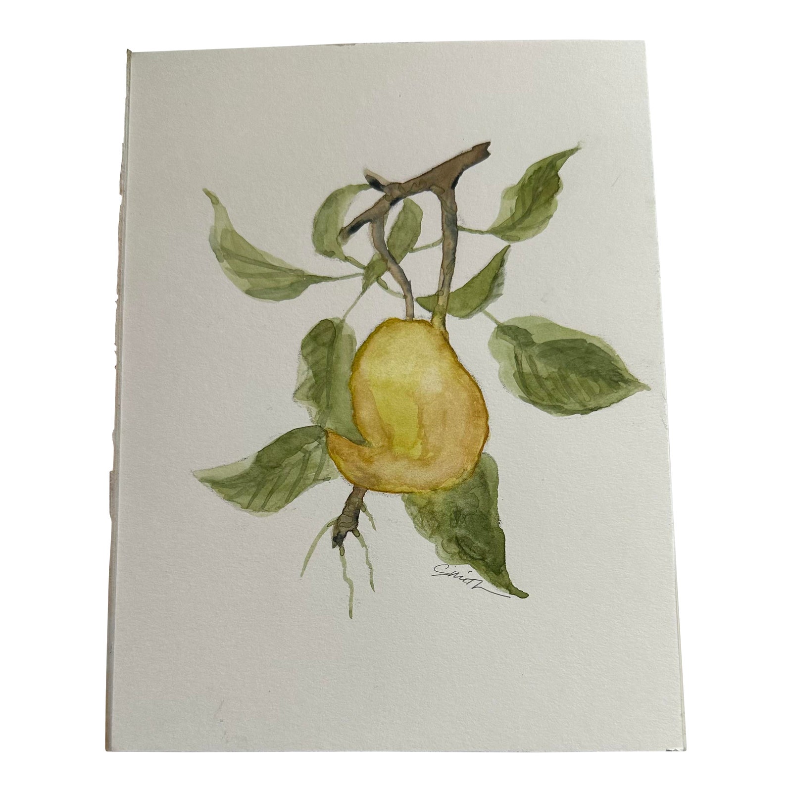 Nancy Smith Original Watercolor Painting | Chairish