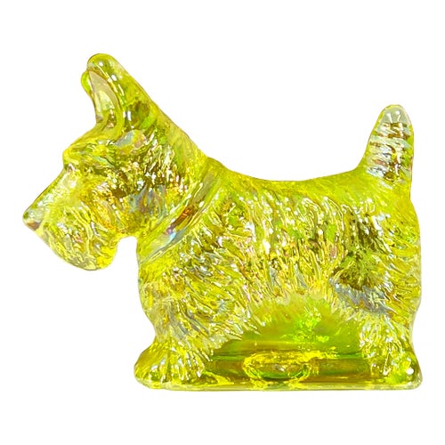 uranium dog