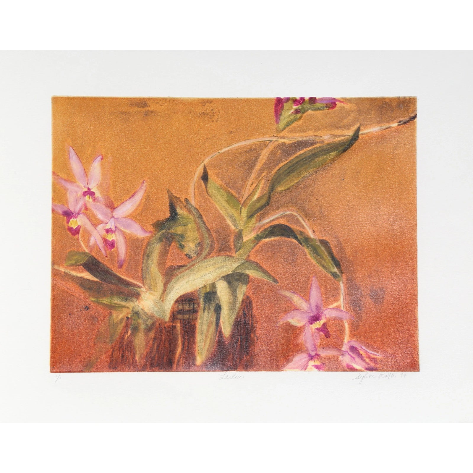 Laelia, Sylvia Roth Monoprint, Signed and Numbered in Pencil | Chairish